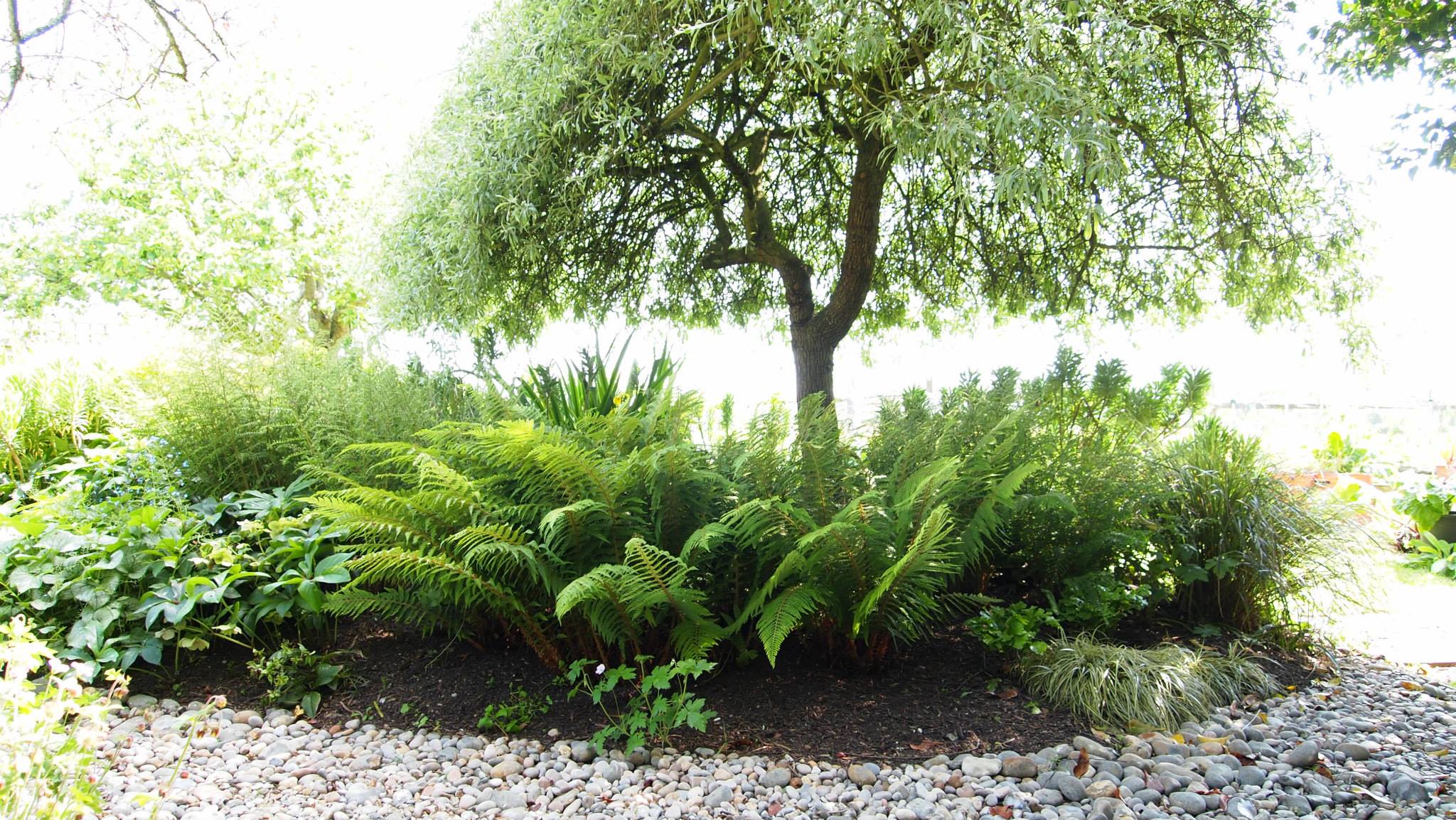 Hurst - Z L Garden Design